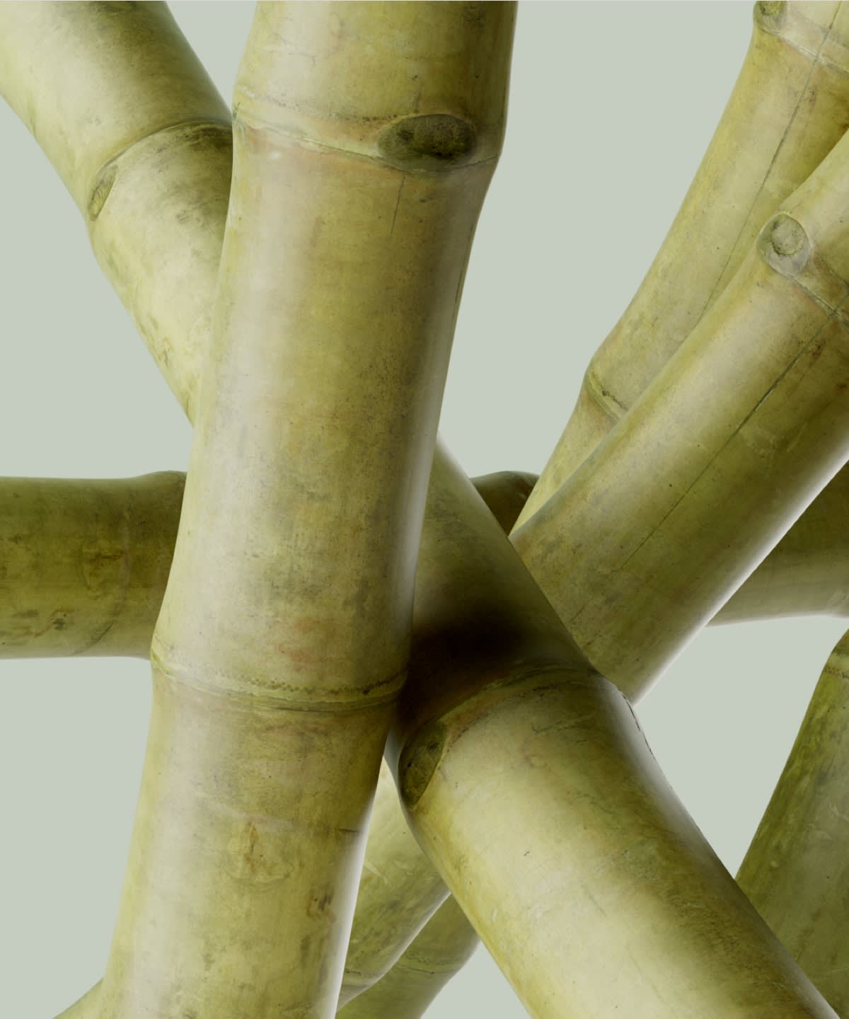 Renewable Materials | Sustainable Practices | Allbirds